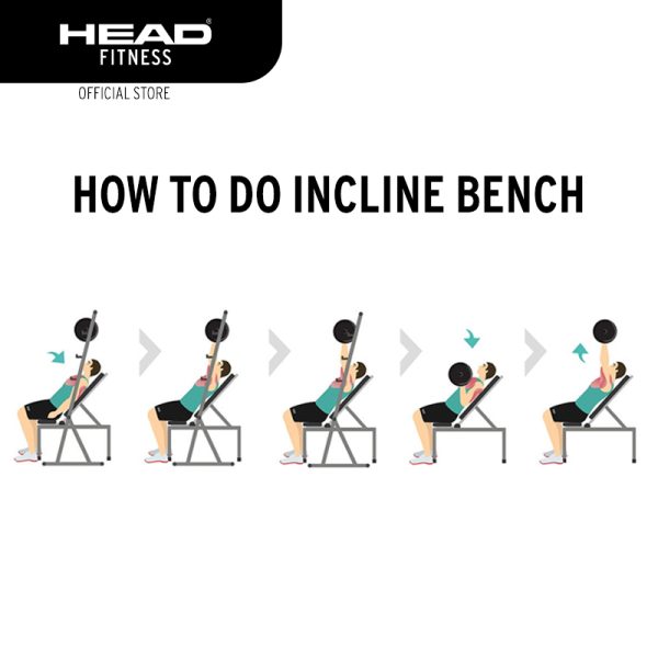 HEAD Dumbbell Bench - Bodimax
